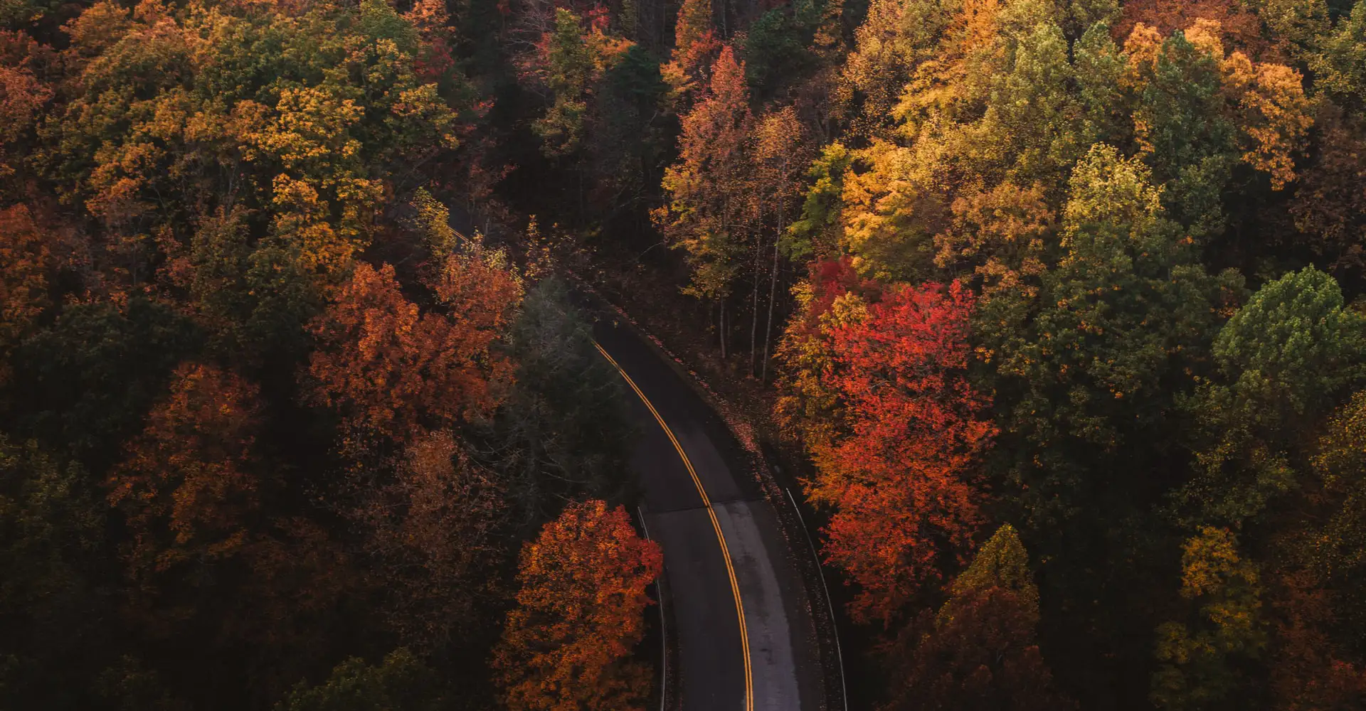 Full Body Scan Walk Through - Pain Relief Path
